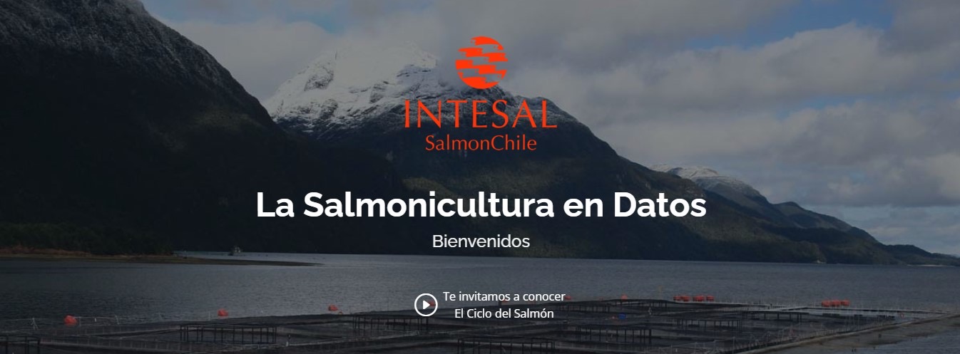 SalmonChile lanza nuevo sitio web para visibilizar la salmonicultura nacional - ELN Radio