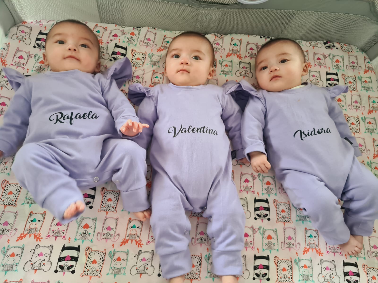 Padres de trillizas idénticas piden apoyo para enfrentar gastos médicos ...