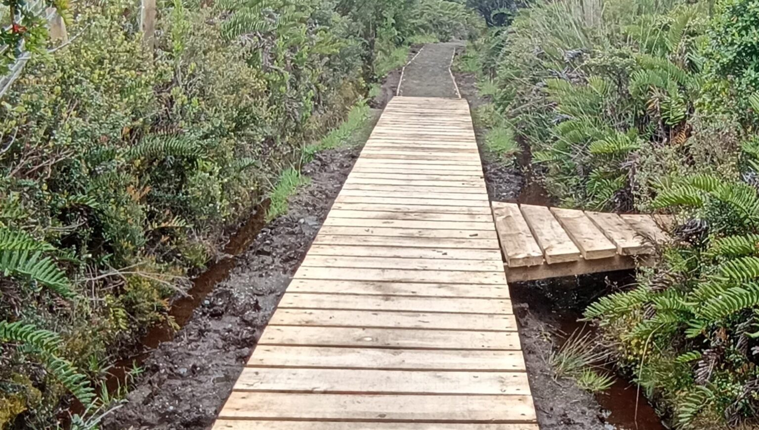 Parque Nacional Chiloé moderniza sus senderos – ELN Radio